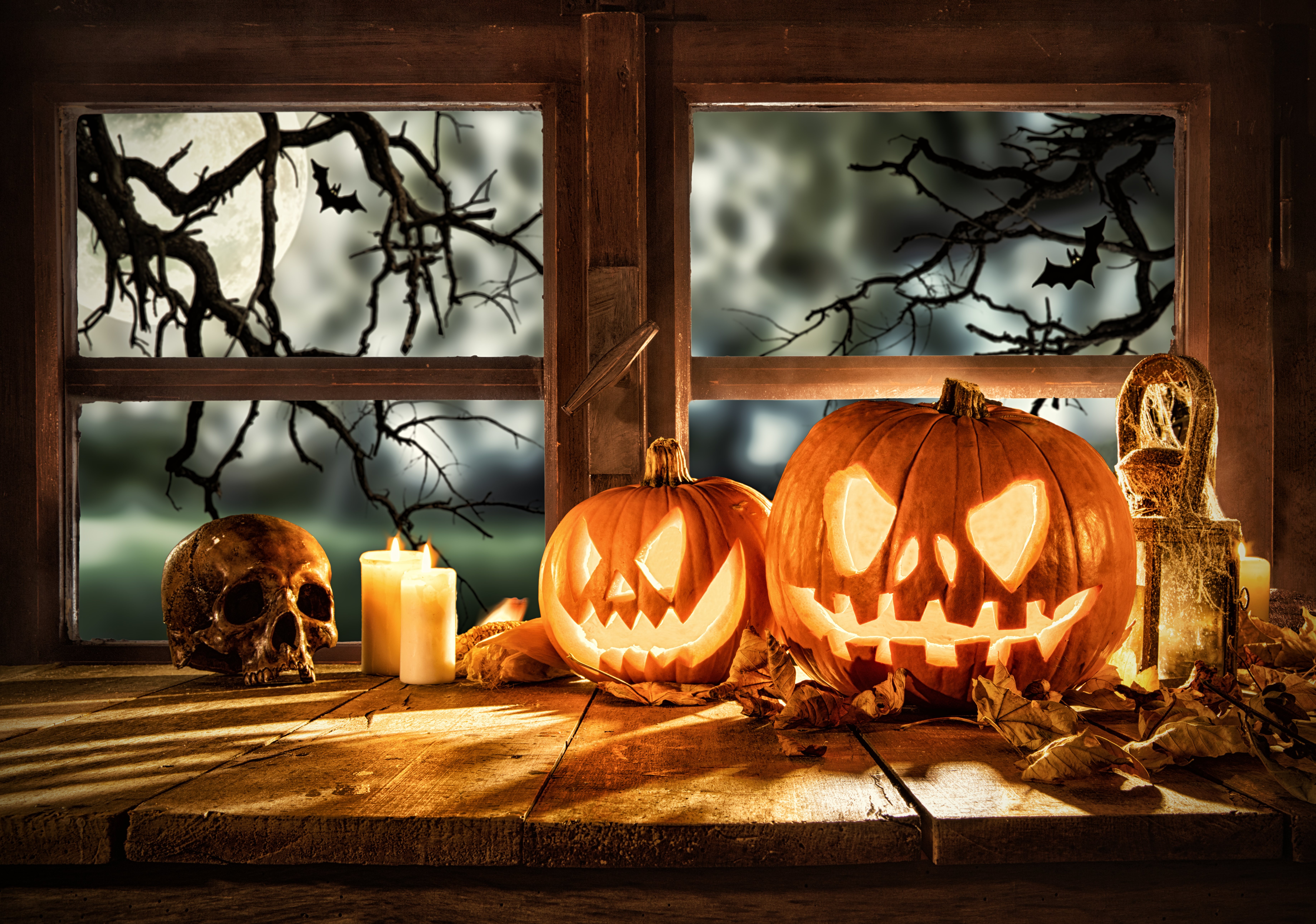 Halloween Has Come & Gone, But the Spooky Fun is Still Going On Here in ...